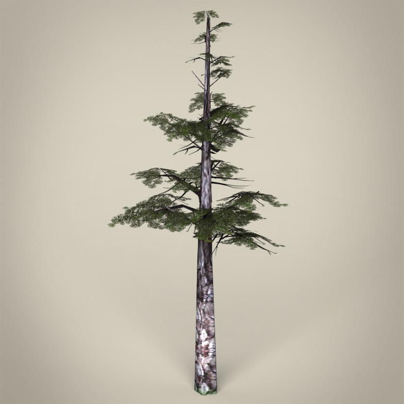 ArtStation - 3D Game Ready Tree Collection | Resources