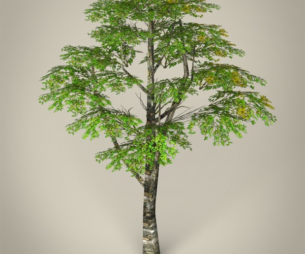 ArtStation - 3D Game Ready Tree Collection | Resources