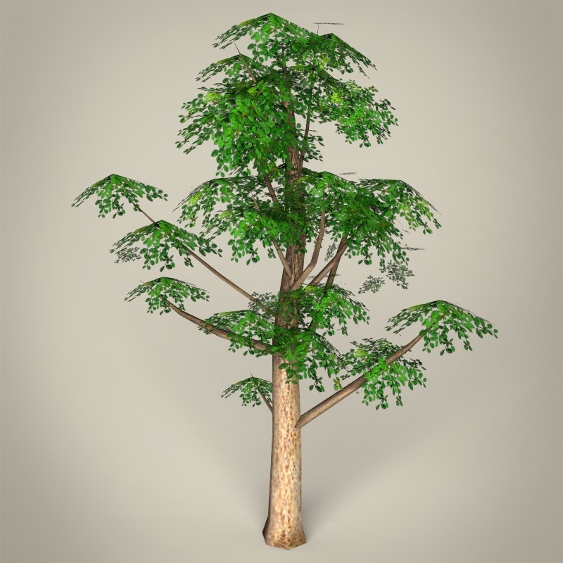 ArtStation - 3D Game Ready Tree Collection | Resources