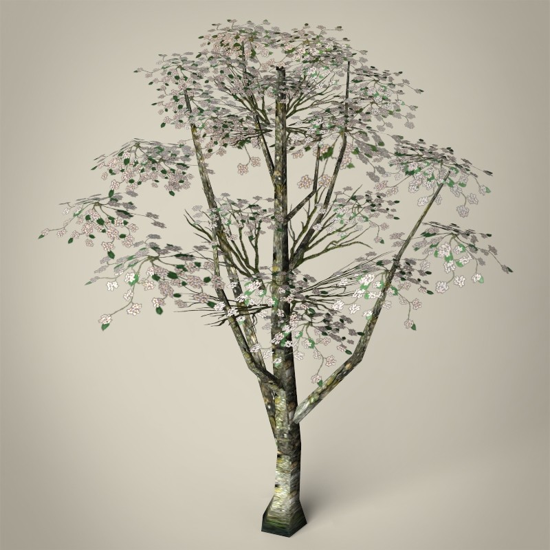 ArtStation - 3D Game Ready Tree Collection | Resources