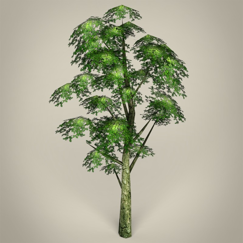 ArtStation - 3D Game Ready Tree Collection | Resources