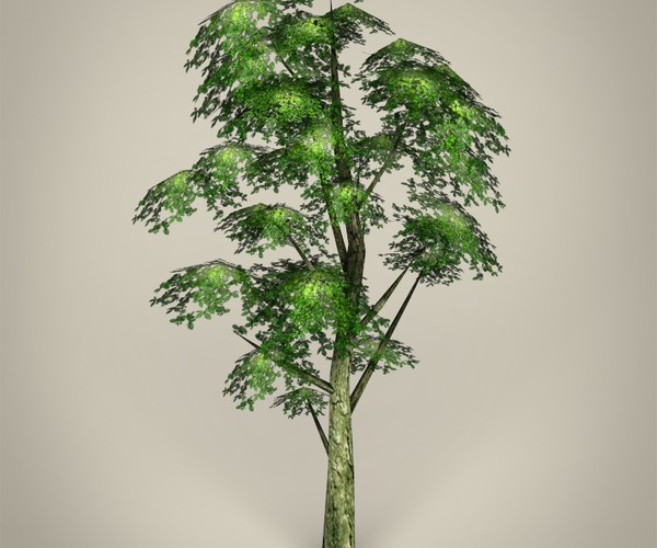 ArtStation - 3D Game Ready Tree Collection | Resources
