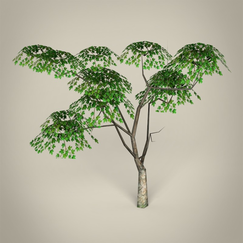 ArtStation - 3D Game Ready Tree Collection | Resources