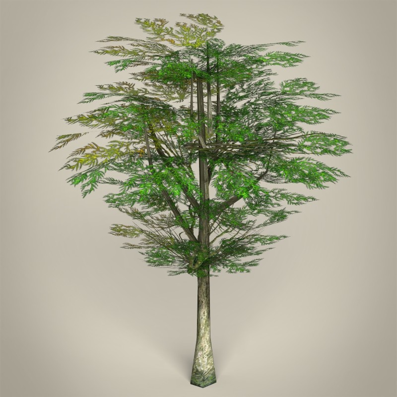 ArtStation - 3D Game Ready Tree Collection | Resources