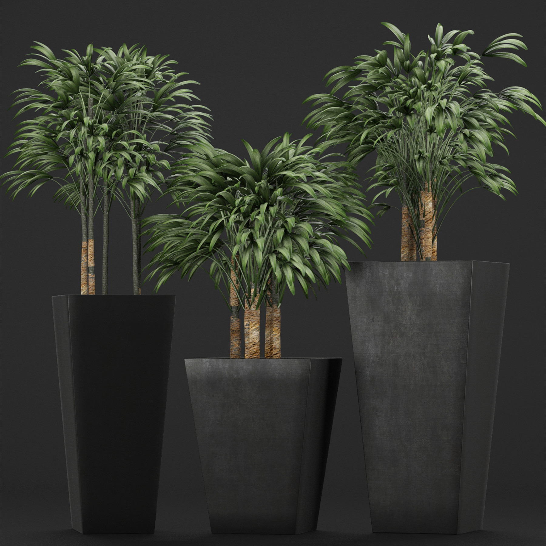 Amazing Renders - Plants Collection 10