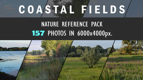 ArtStation - Coastal Fields. Part 2 - Photo reference pack | Resources