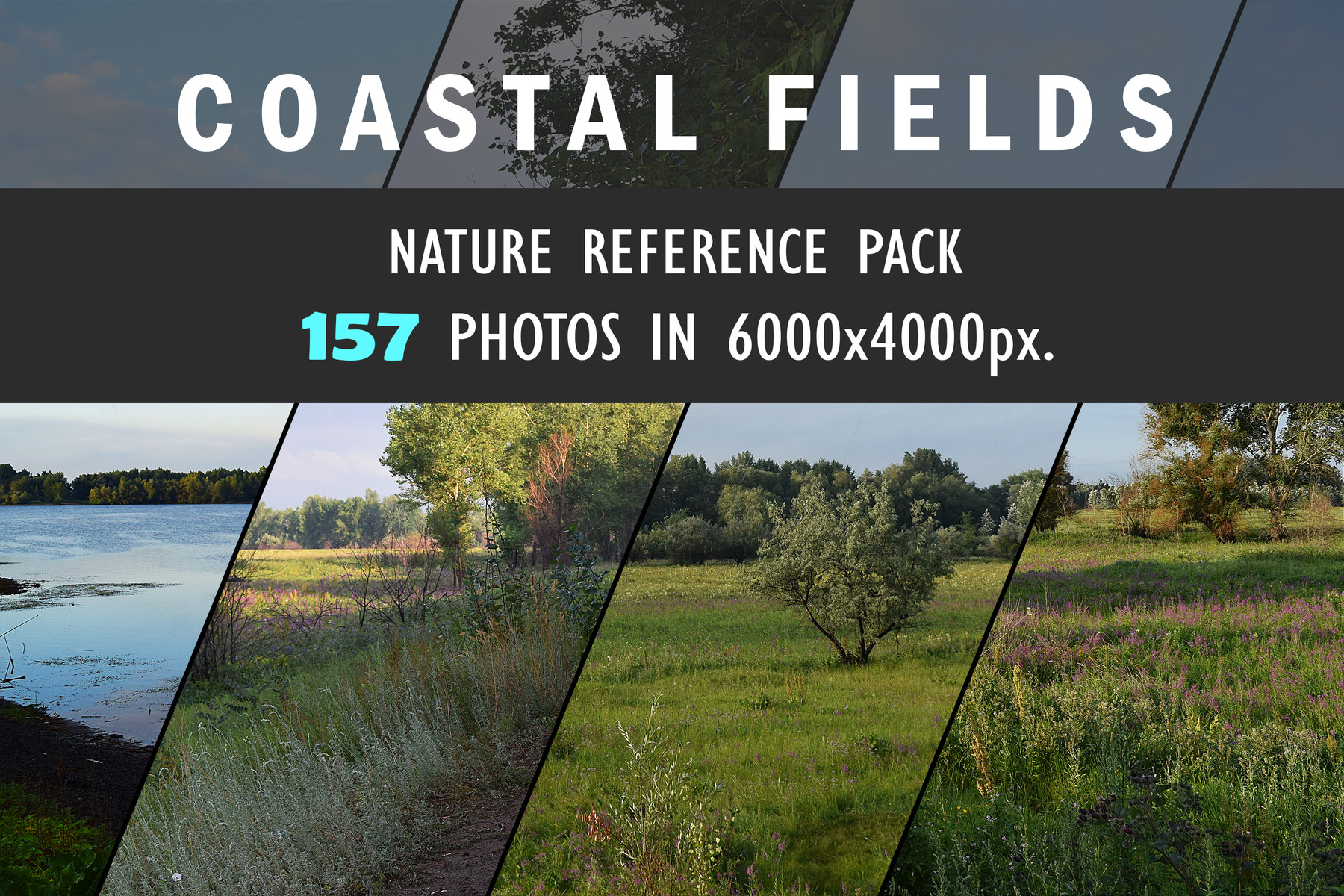 ArtStation - Coastal fields - Photo Reference Pack | Resources