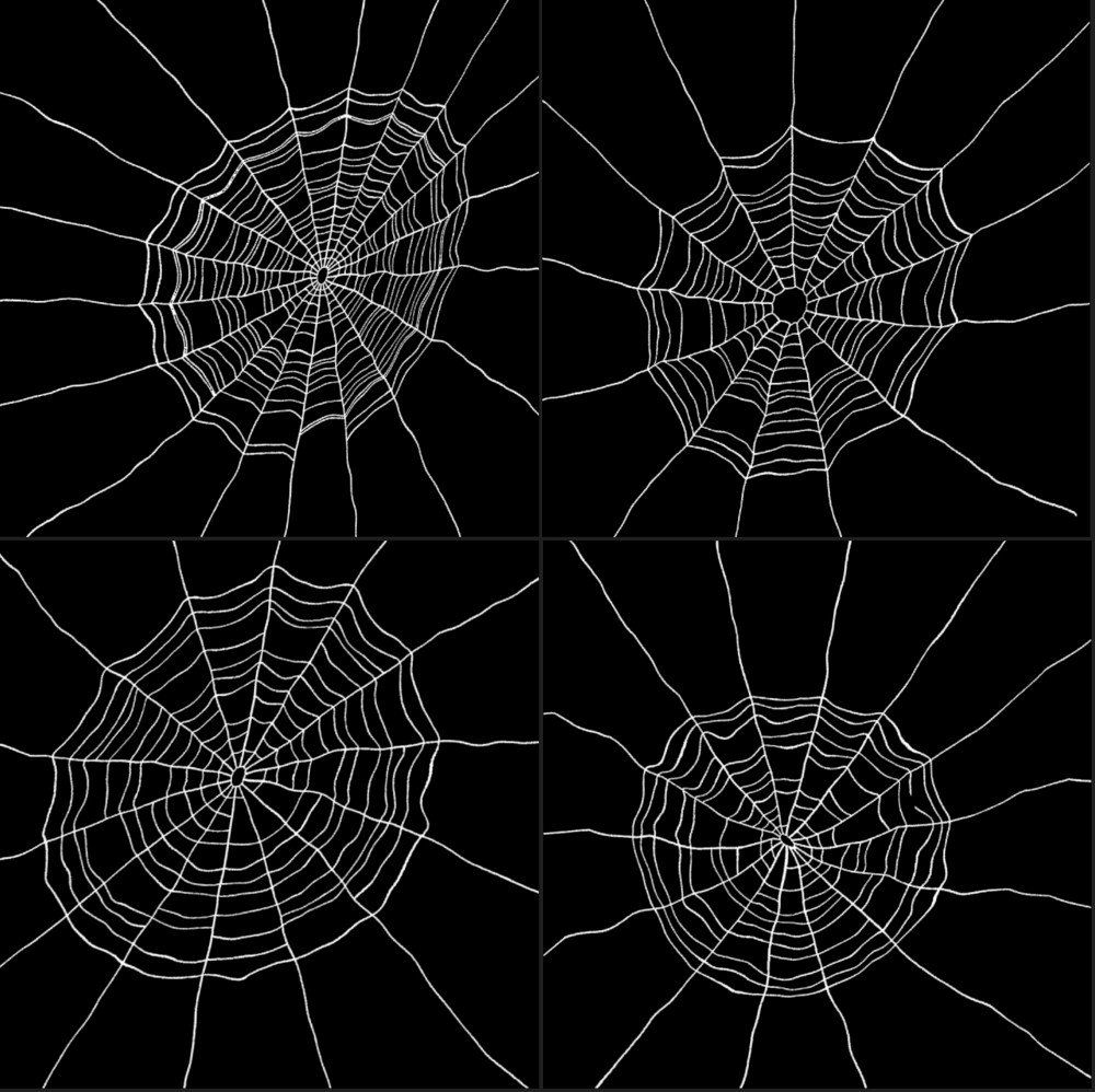Martin Schmitter - Substance Designer Spiderweb Generator