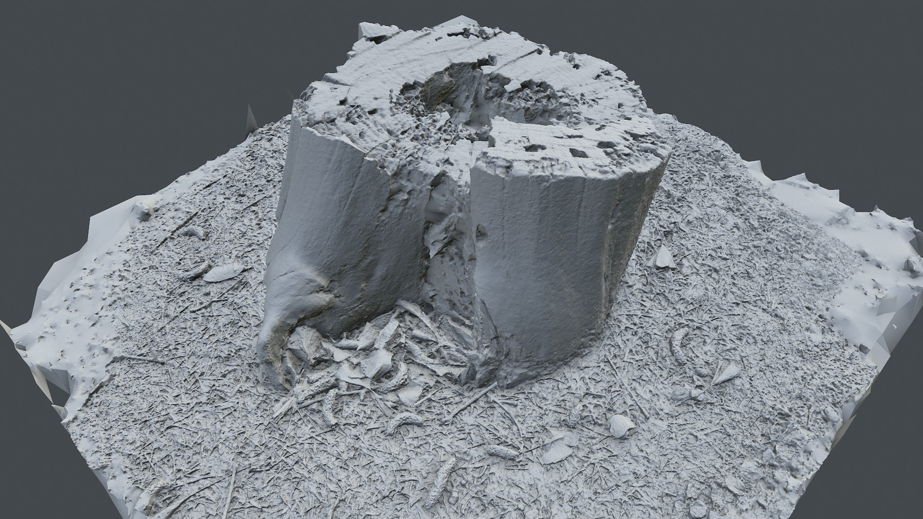 ArtStation - Photoscan_Broken Tree_0003_only HighPoly Mesh (16K Texture ...