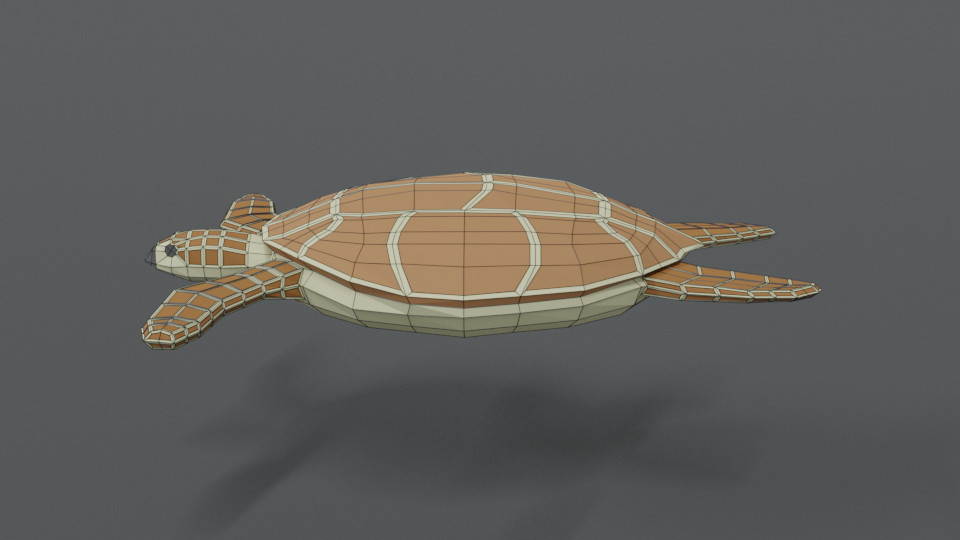 ArtStation - Low Poly Cartoon Loggerhead Sea Turtle | Game Assets