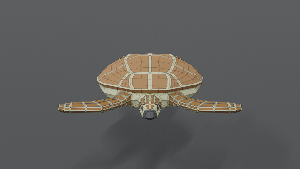 ArtStation - Low Poly Cartoon Loggerhead Sea Turtle | Game Assets