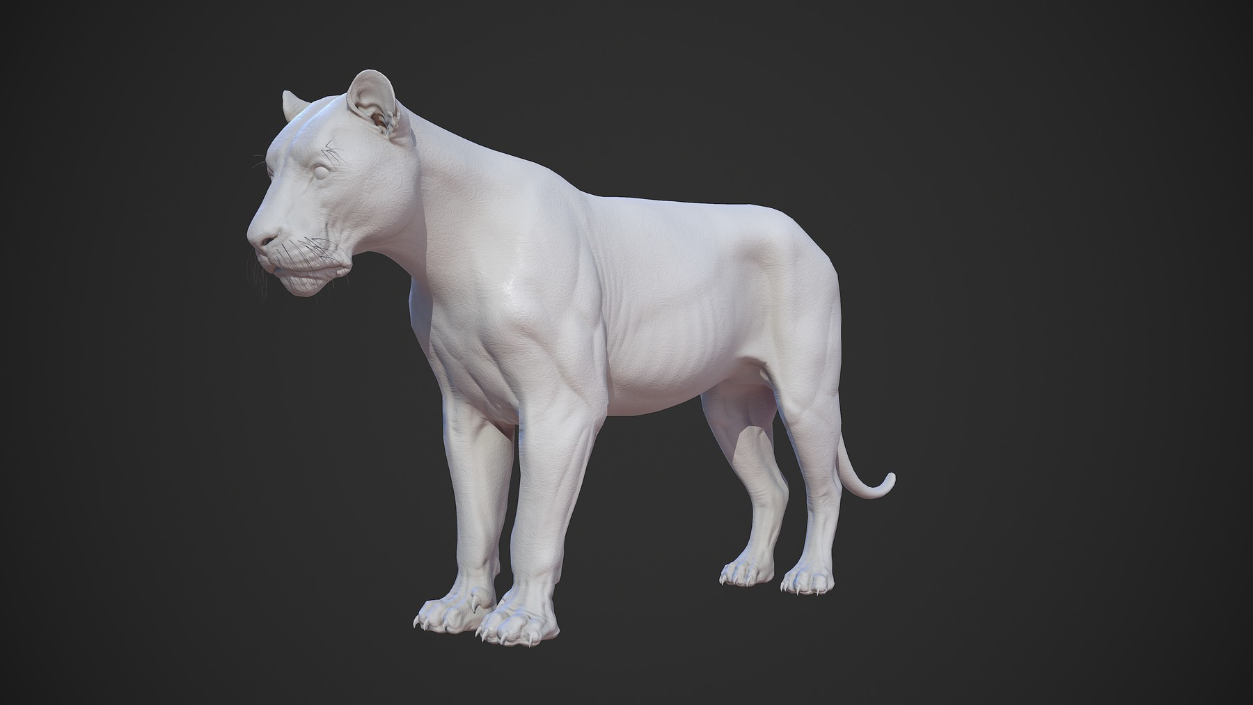 ArtStation - Animals - Lion Anatomy Skin Ecorche | Resources