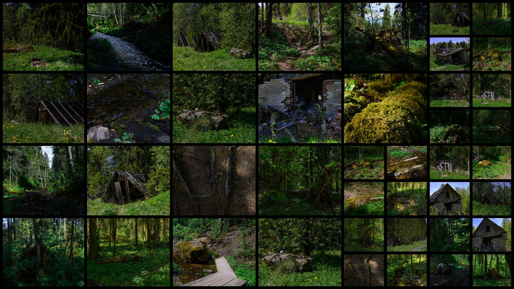 ArtStation - Forest 2, Environment Pack | Resources