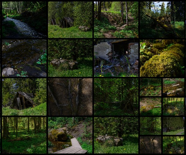 ArtStation - Forest 2, Environment Pack | Resources