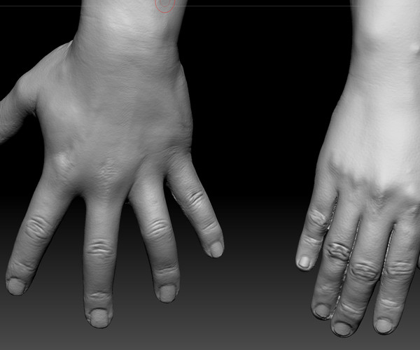 ArtStation - 3D Scan Hand Modeling_ 2set | Resources