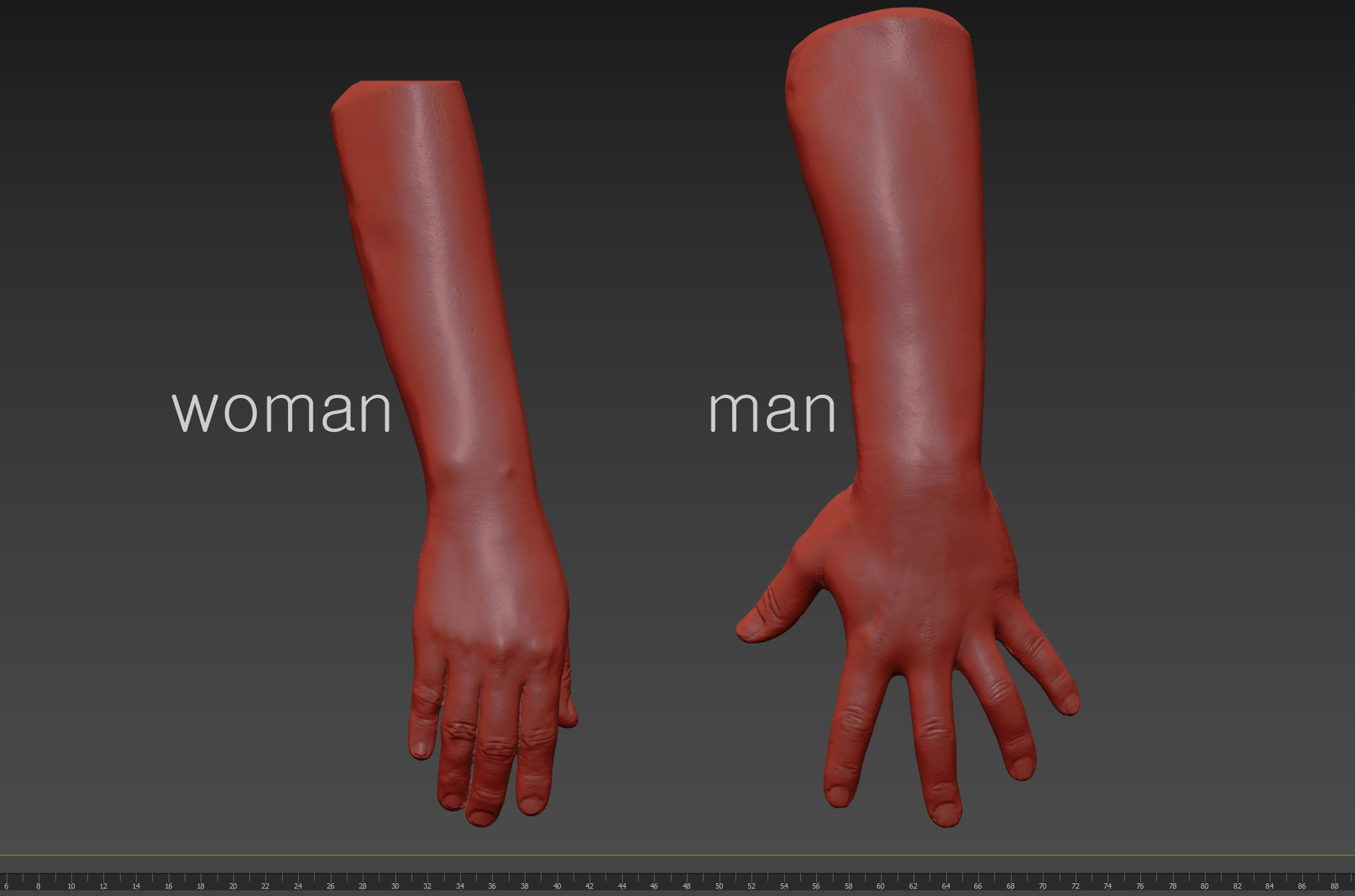 ArtStation - 3D Scan Hand Modeling_ 2set | Resources