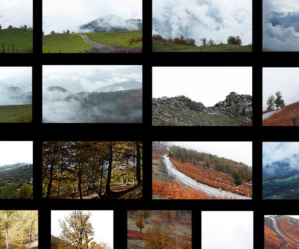 ArtStation - Misty Nature | Resources