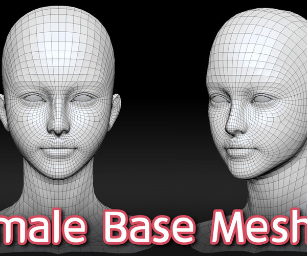ArtStation - Female Head Base Mesh | Resources