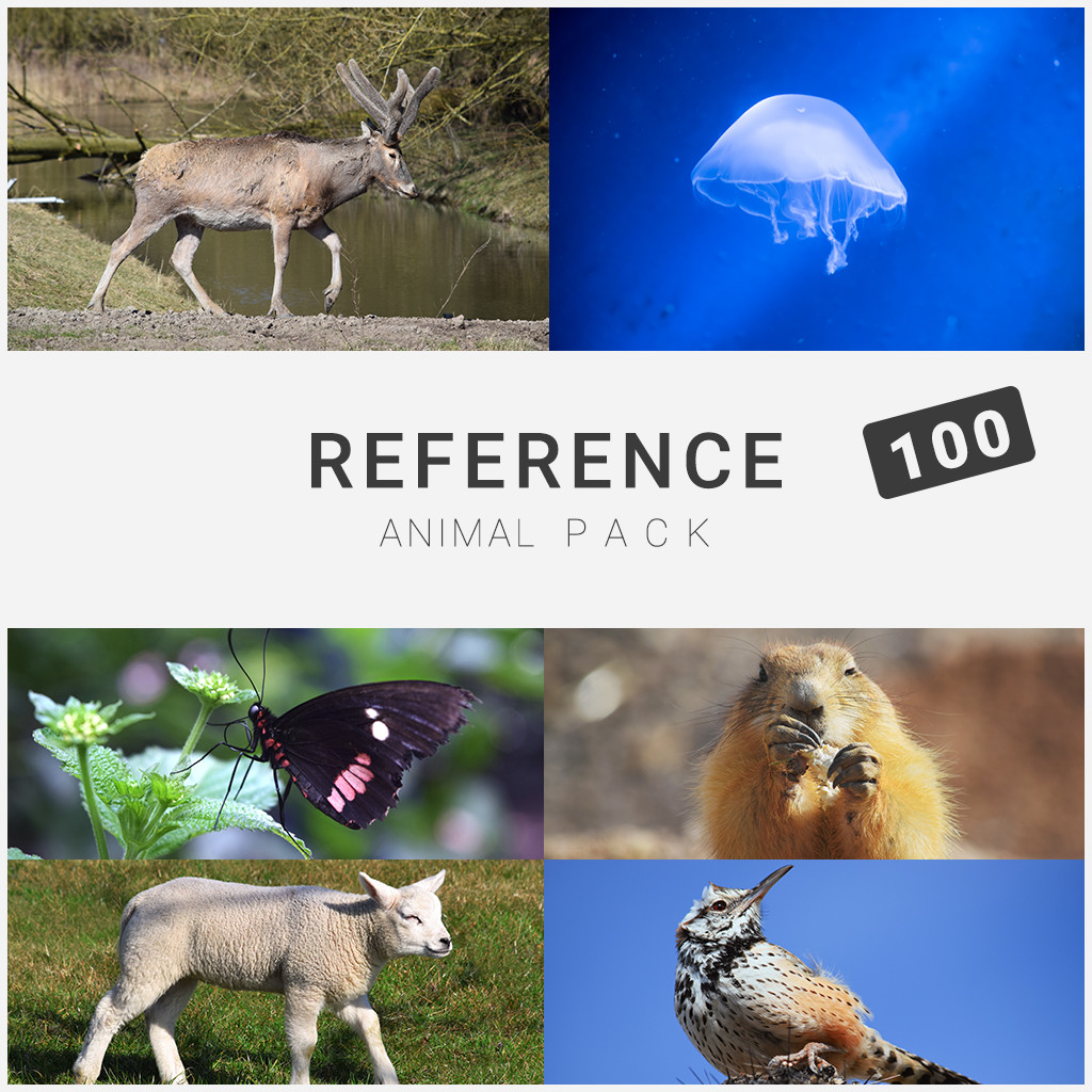 ArtStation - Reference: Animal Pack 100 | Resources