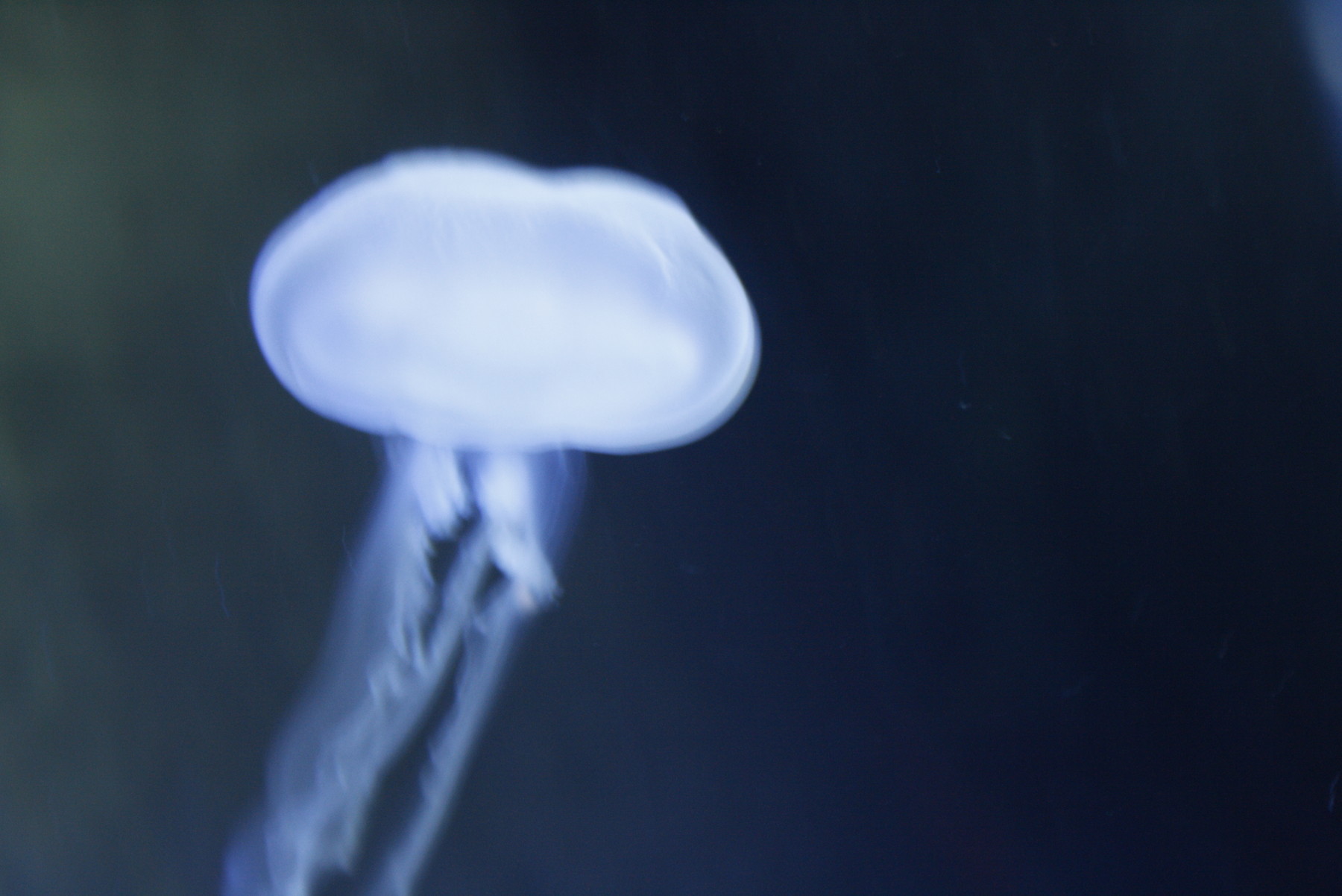 ArtStation - Free Ocean Reference Pack | Resources