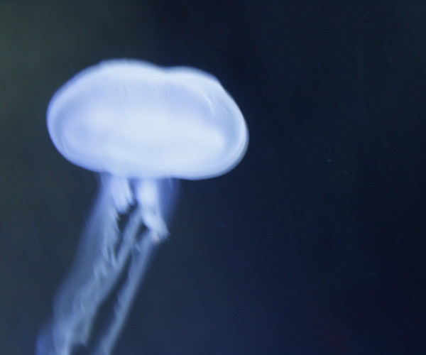 ArtStation - Free Ocean Reference Pack | Resources