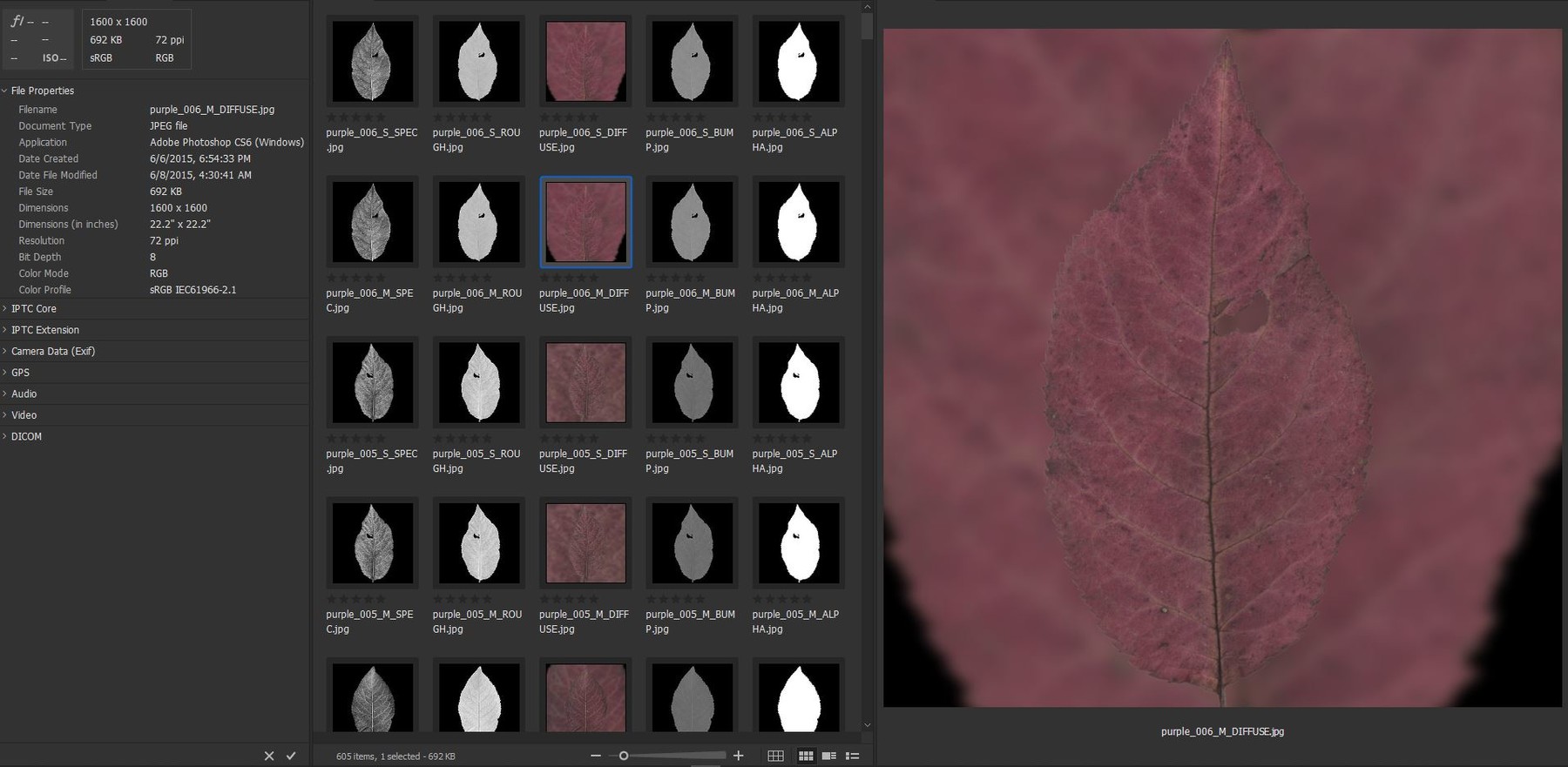 ArtStation - High Resolution Leaf Textures Seasonal Variety Pack ...