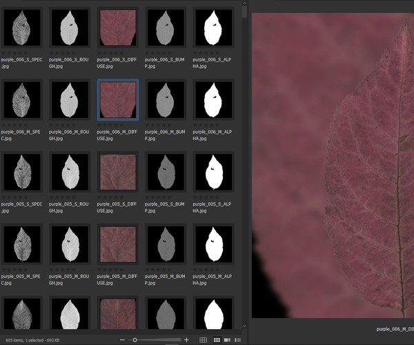 ArtStation - High Resolution Leaf Textures Seasonal Variety Pack ...