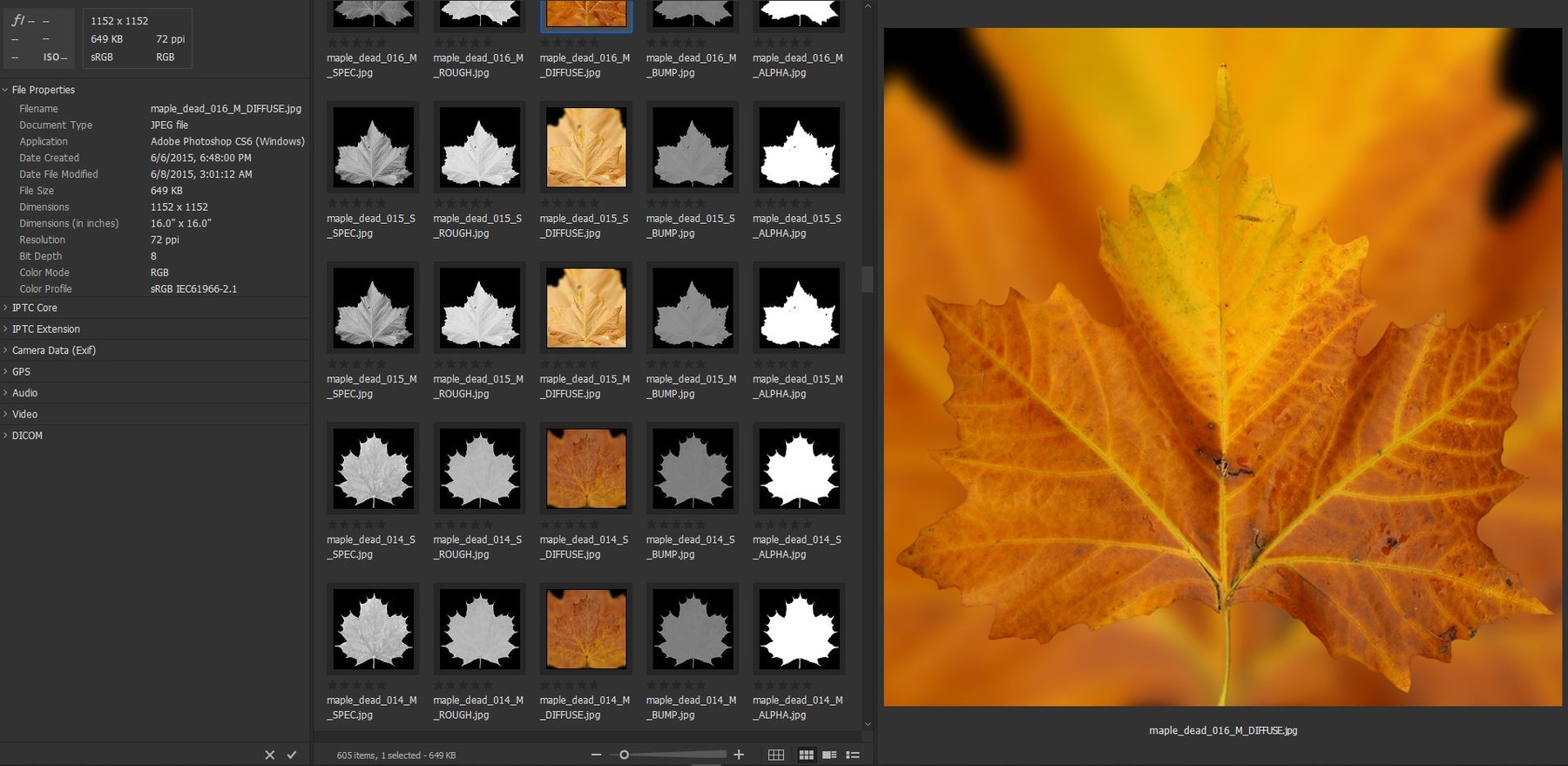 ArtStation - High Resolution Leaf Textures Seasonal Variety Pack ...