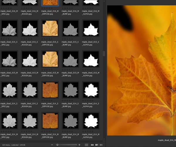 ArtStation - High Resolution Leaf Textures Seasonal Variety Pack ...