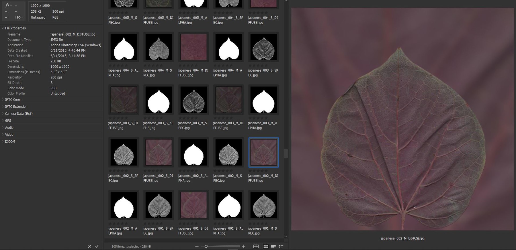 ArtStation - High Resolution Leaf Textures Seasonal Variety Pack ...