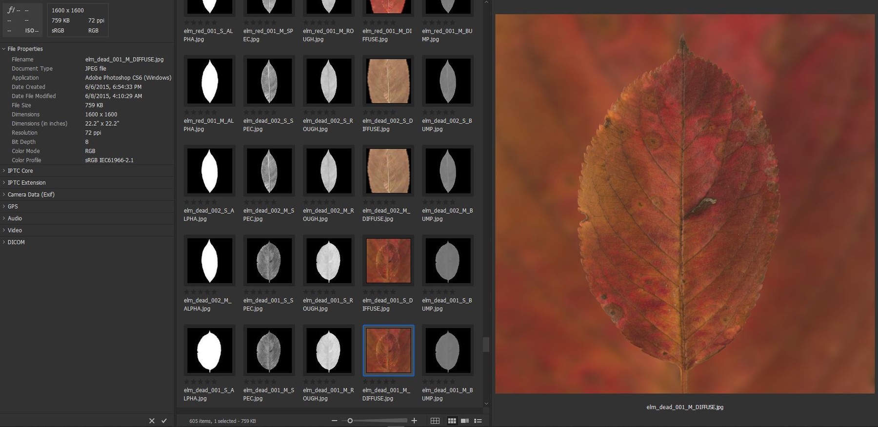 ArtStation - High Resolution Leaf Textures Seasonal Variety Pack ...