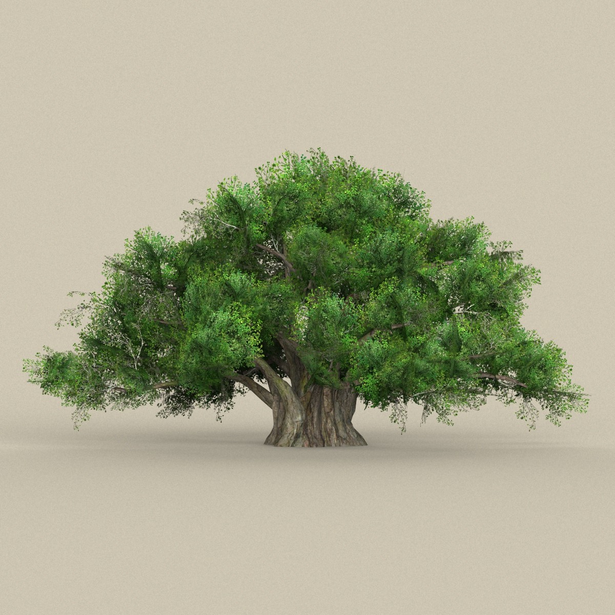 ArtStation - Game Ready Biggest Tree Collection | Game Assets