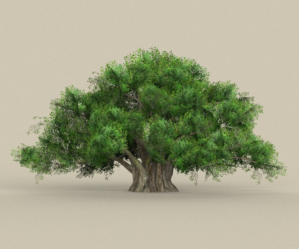 ArtStation - Game Ready Biggest Tree Collection | Game Assets