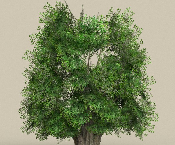 ArtStation - Game Ready Biggest Tree Collection | Game Assets