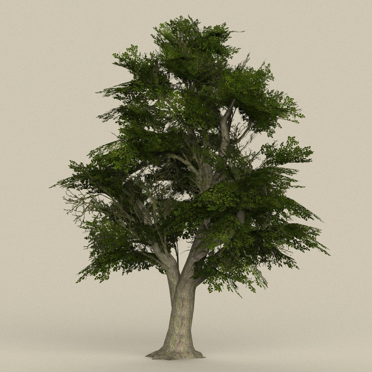 ArtStation - Game Ready Biggest Tree Collection | Game Assets