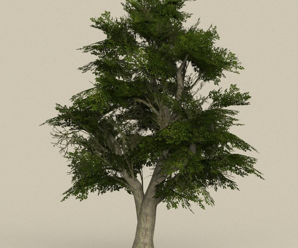 ArtStation - Game Ready Biggest Tree Collection | Game Assets