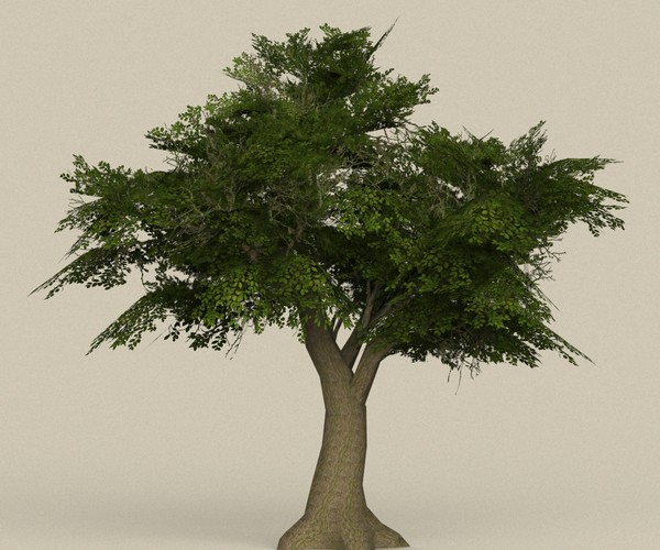 ArtStation - Game Ready Biggest Tree Collection | Game Assets