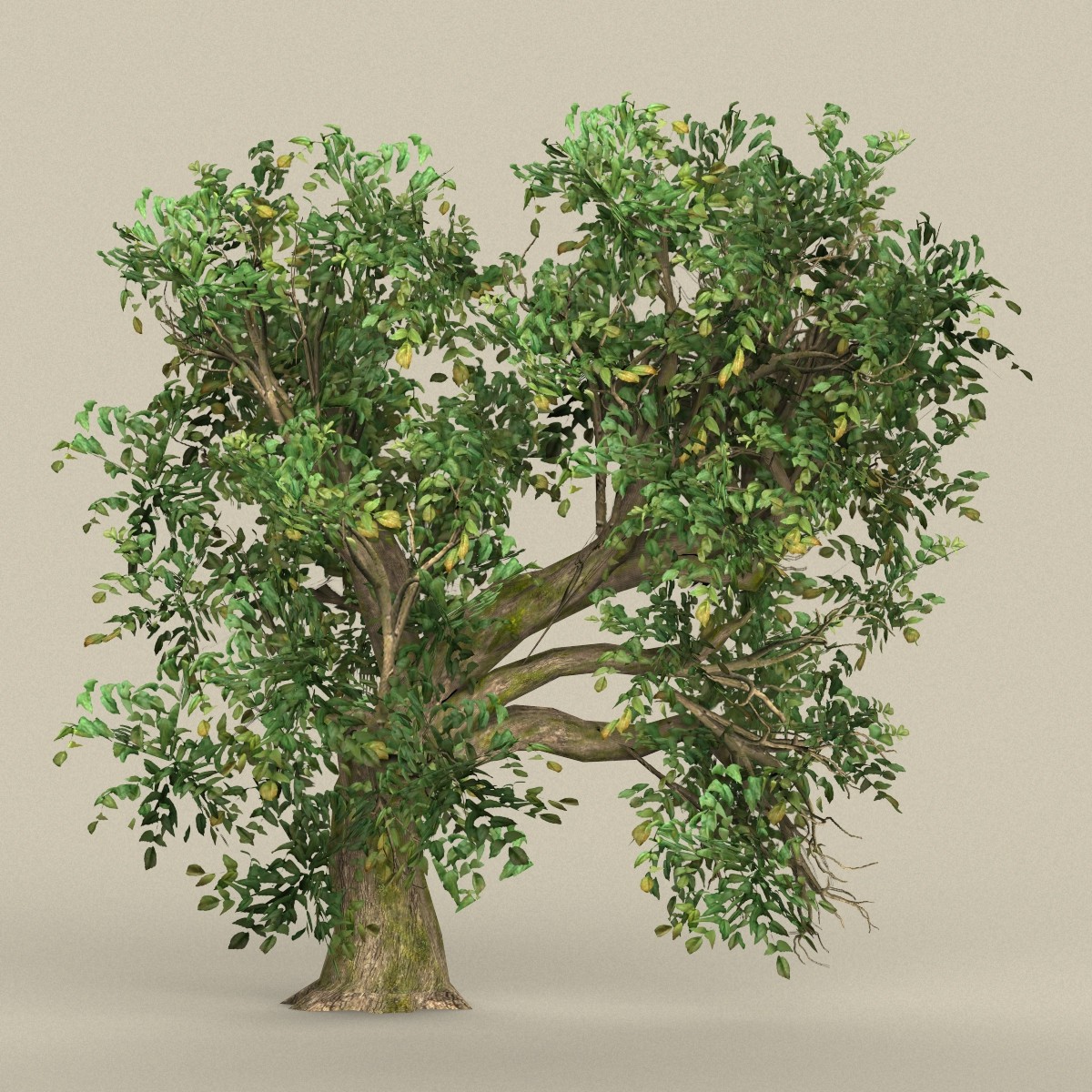 ArtStation - Game Ready Biggest Tree Collection | Game Assets