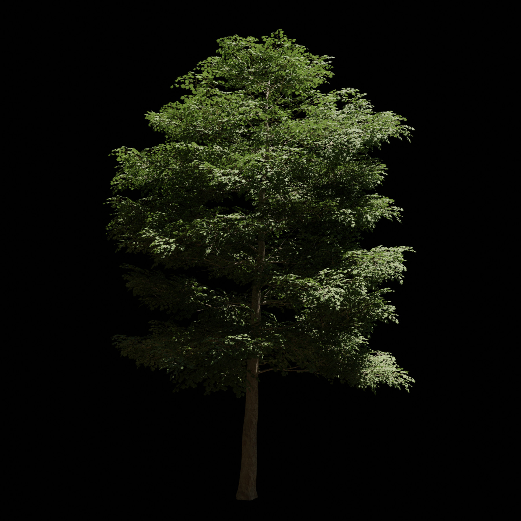 ArtStation - London Plane Trees 3D model | Resources