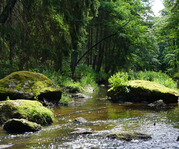 ArtStation - Magical River - 260+ Reference pictures | Resources