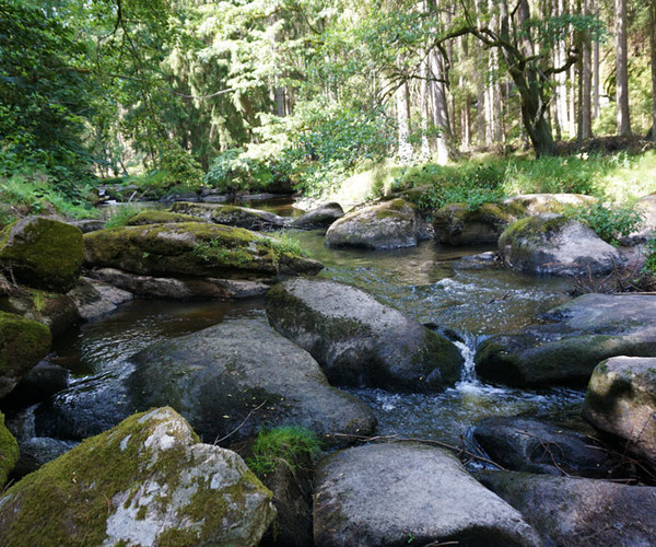 ArtStation - Magical River - 260+ Reference pictures | Resources