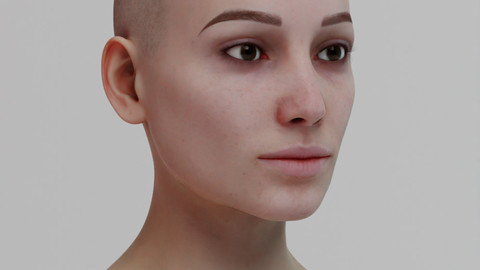 ArtStation - Realistic Female base mesh | Resources