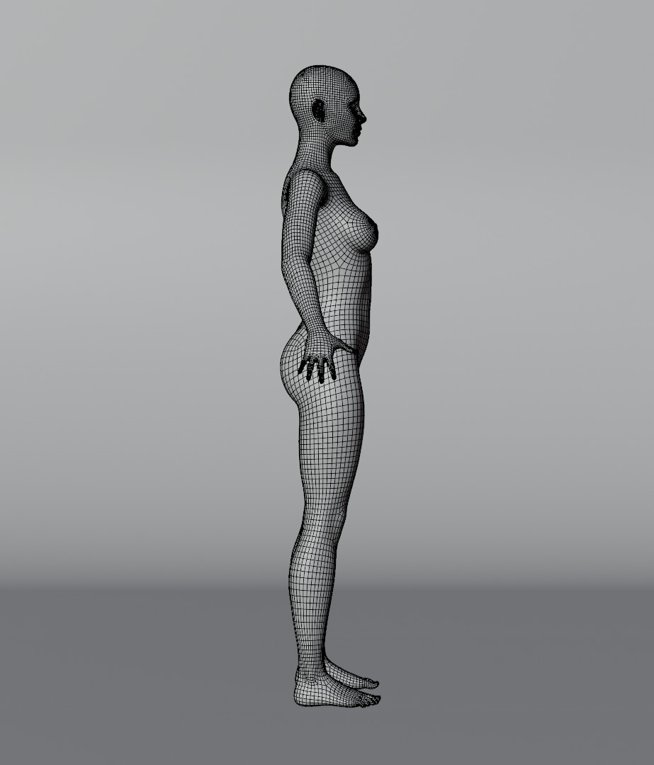 ArtStation - Realistic Female Basemesh | Game Assets