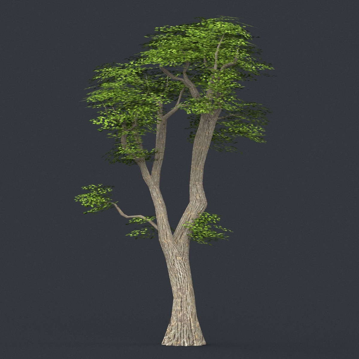 ArtStation - Low Poly 10 Tree Collection | Resources