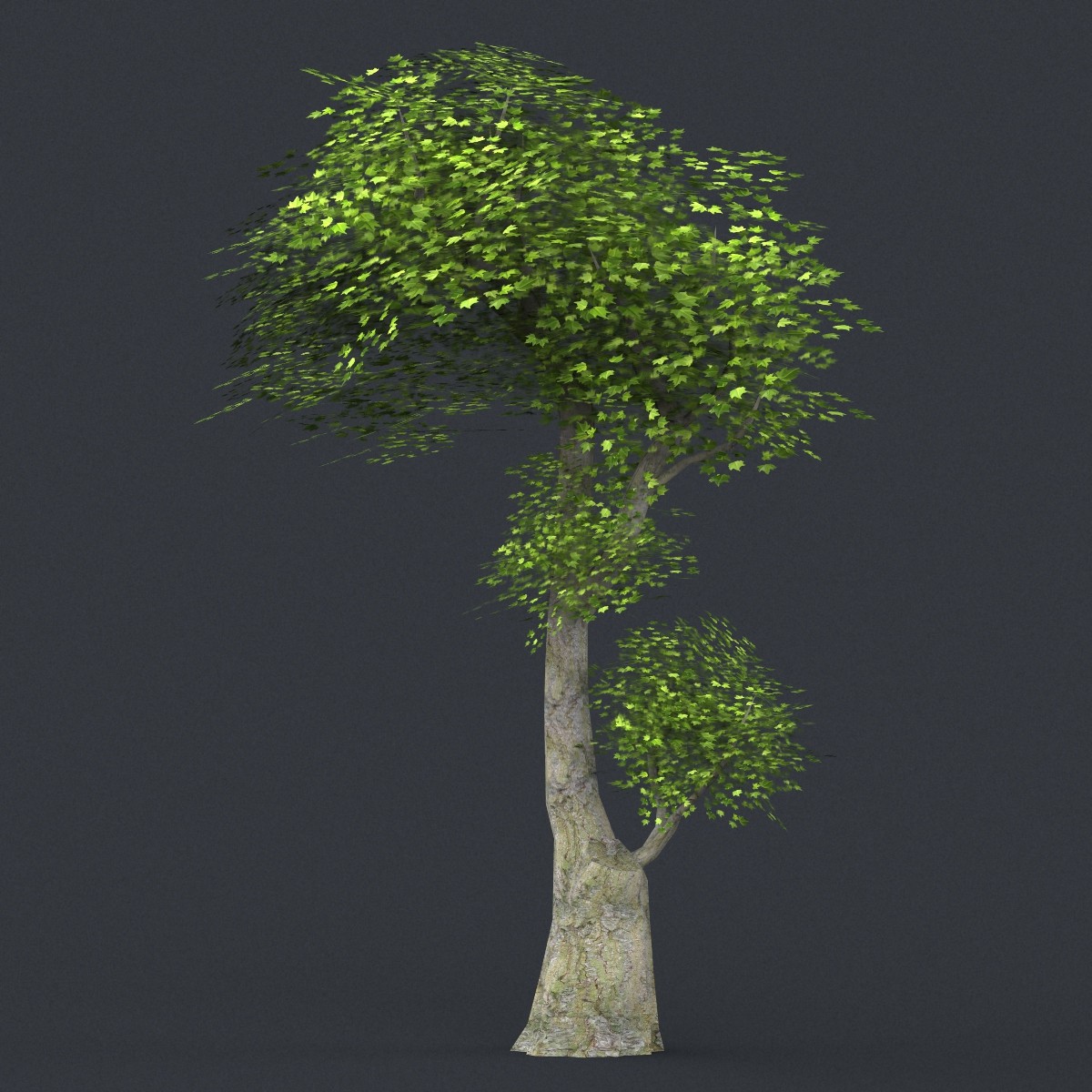 ArtStation - Low Poly 10 Tree Collection | Resources
