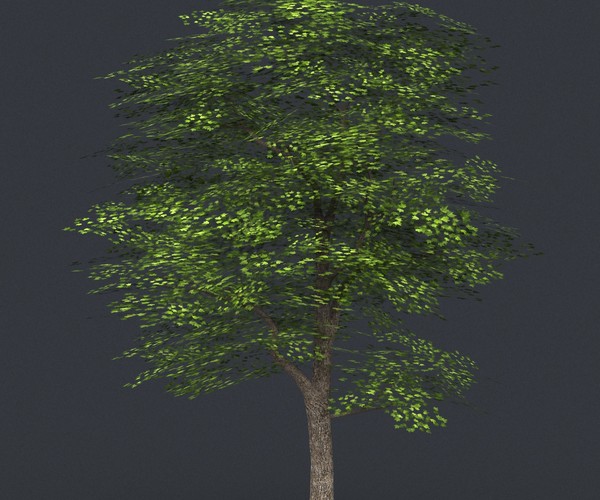 ArtStation - Low Poly 10 Tree Collection | Resources