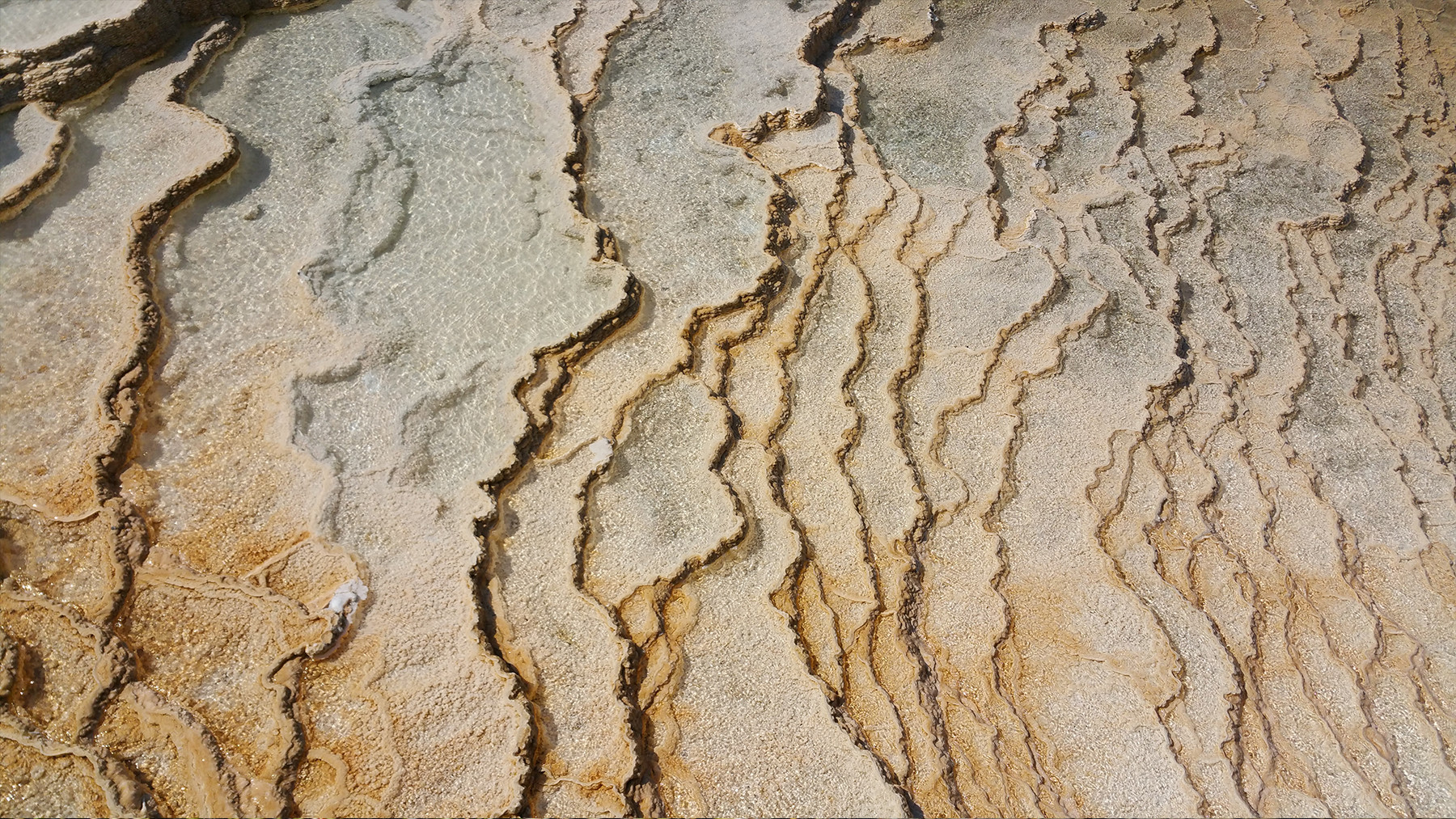 ArtStation - Yellowstone Photo Reference Pack | Resources