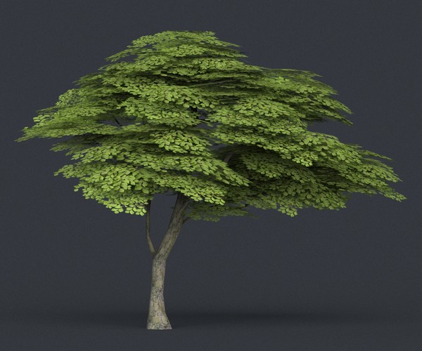 ArtStation - Low Poly 10 Tree Collection Release 2 | Resources