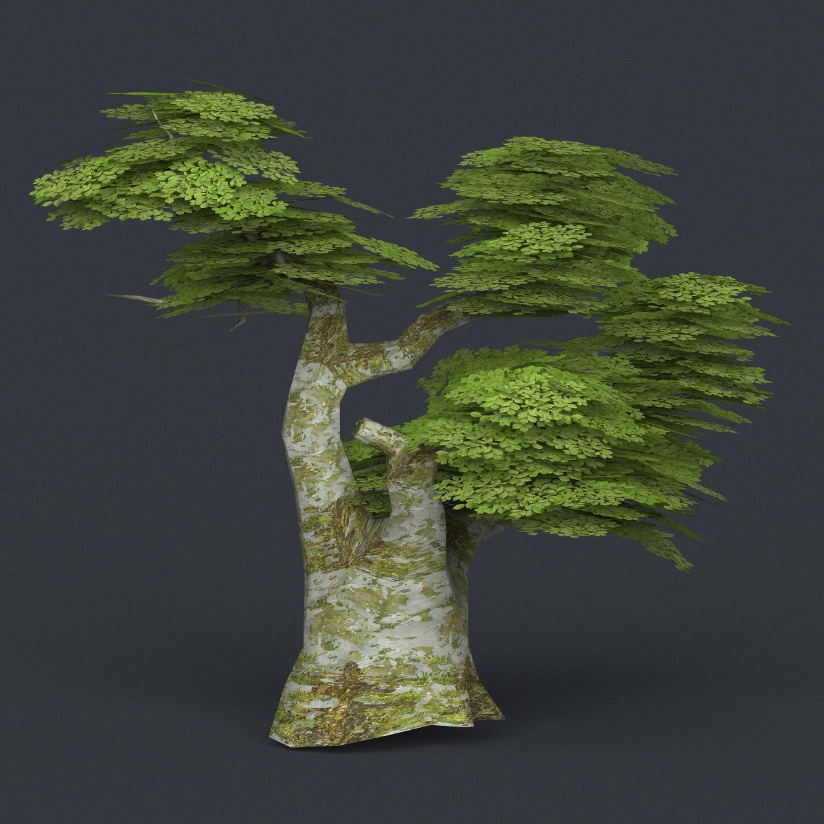 ArtStation - Low Poly 10 Tree Collection Release 2 | Resources