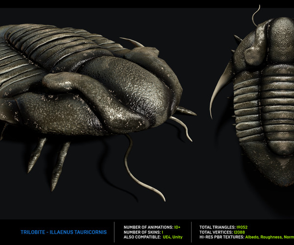 ArtStation - Trilobite 02 - ILLAENUS TAURICORNIS | Game Assets